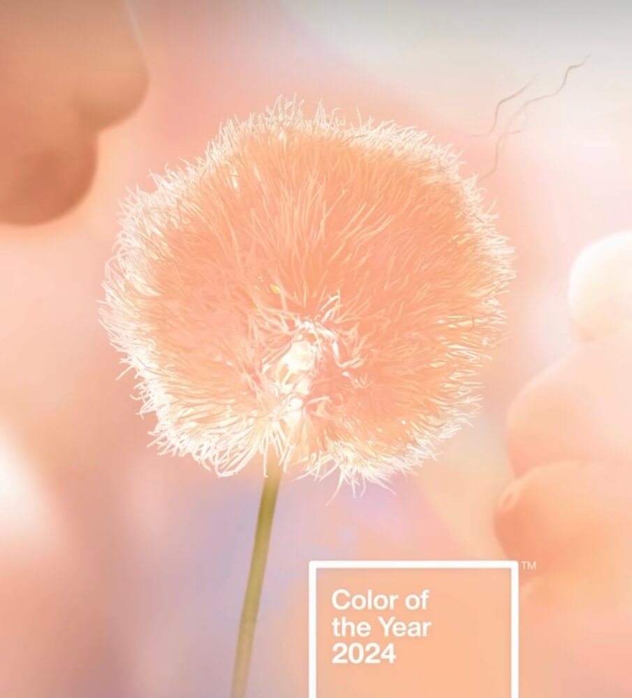Χρώμα της Χρονιάς 2024 από την Pantone, το “Peach Fuzz”. - BeautyBlog ...