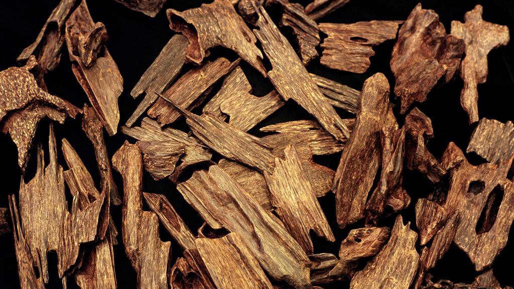 OUD: μια καυτή ανατολίτικη αρωματική νότα. - BeautyBlog.gr & more